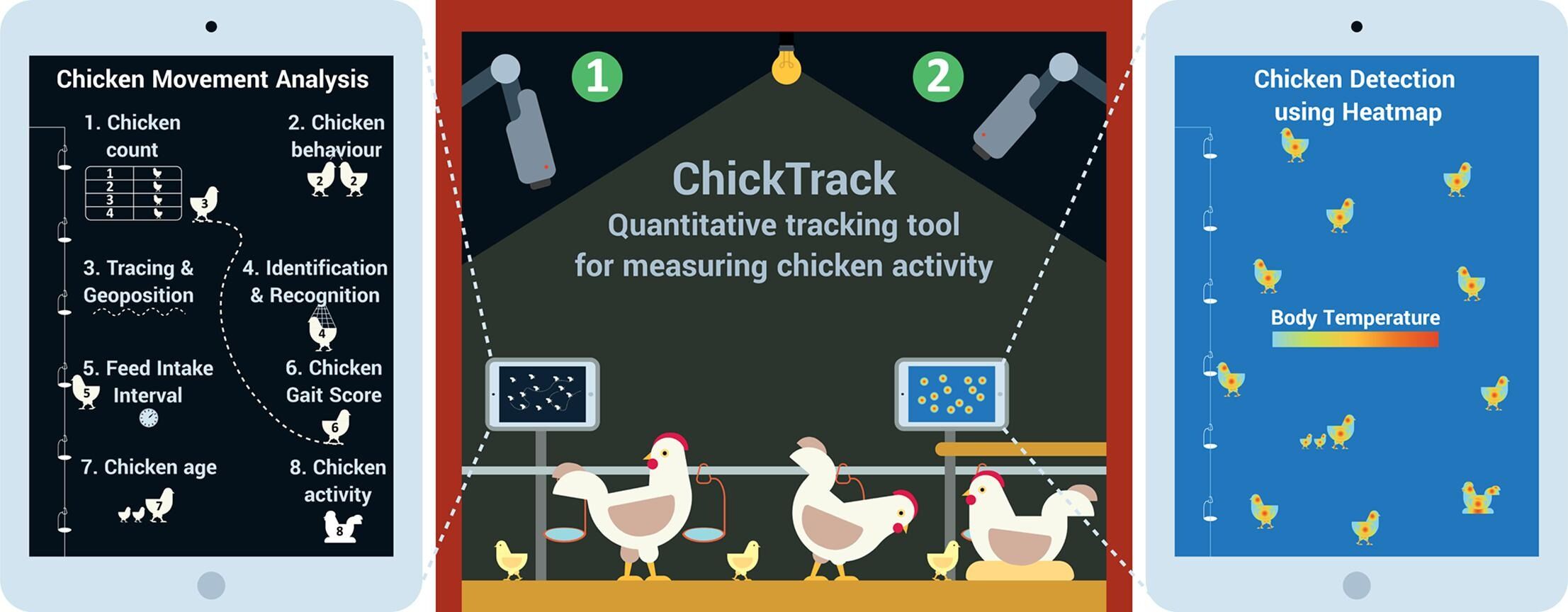 ChickTrack – Digital tracking tool for chicken activity - Mooanalytica