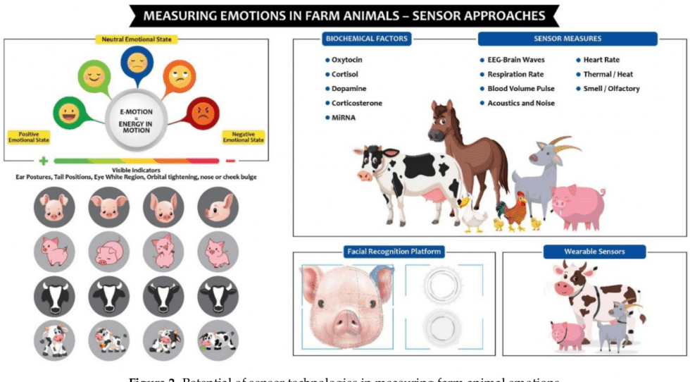 Farm Animal Emotions Detection and Analysis - Mooanalytica